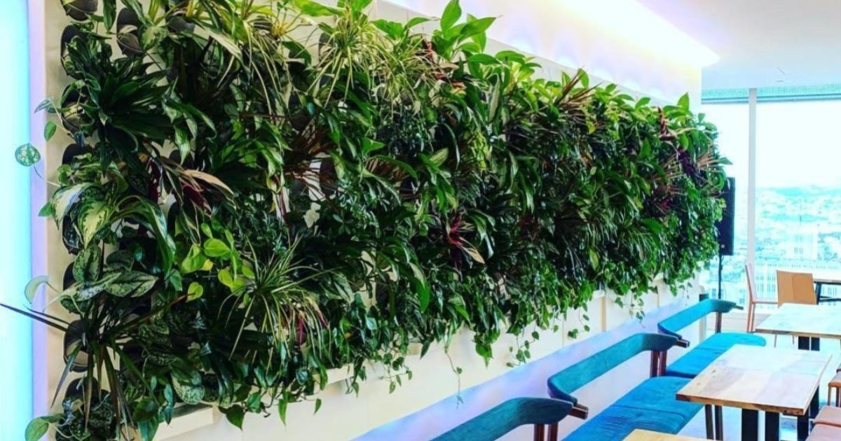 Workplace Resource Colorado | Biome