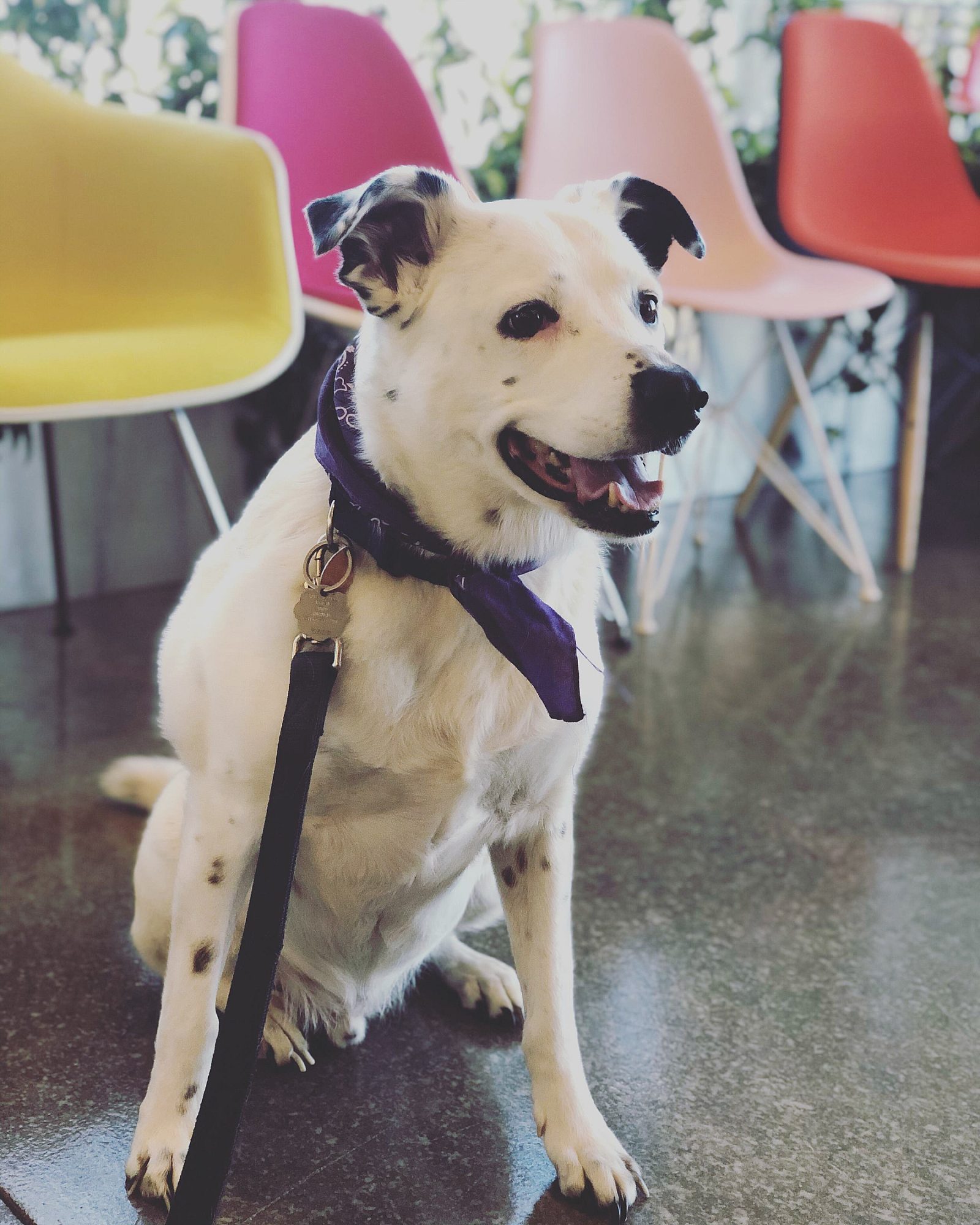 Workplace Resource Colorado | Careers